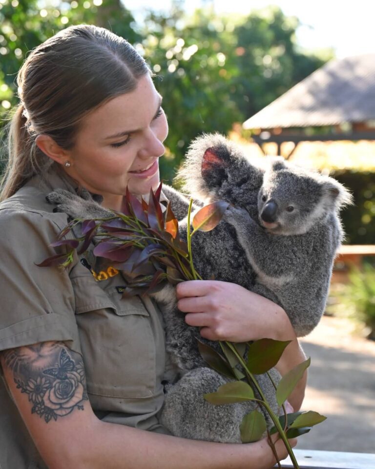 Wildlife Conservation Training | Wildlife College Australia